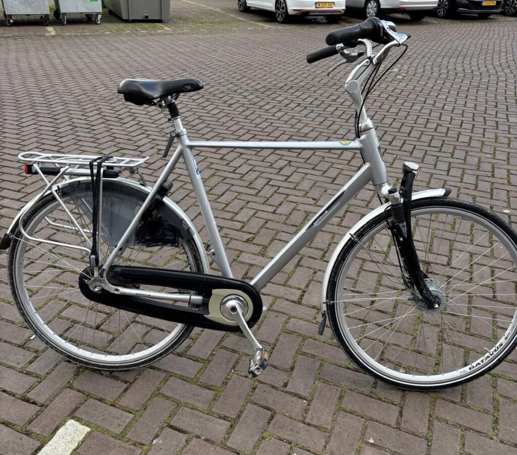 Batavus Holiday Nexus 7 (nieuw model) - Biketraders.nl